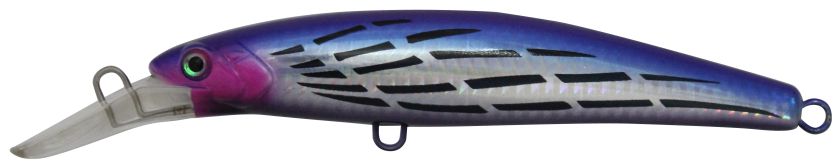 Donkeys at full gallop! - Fishing World Australia