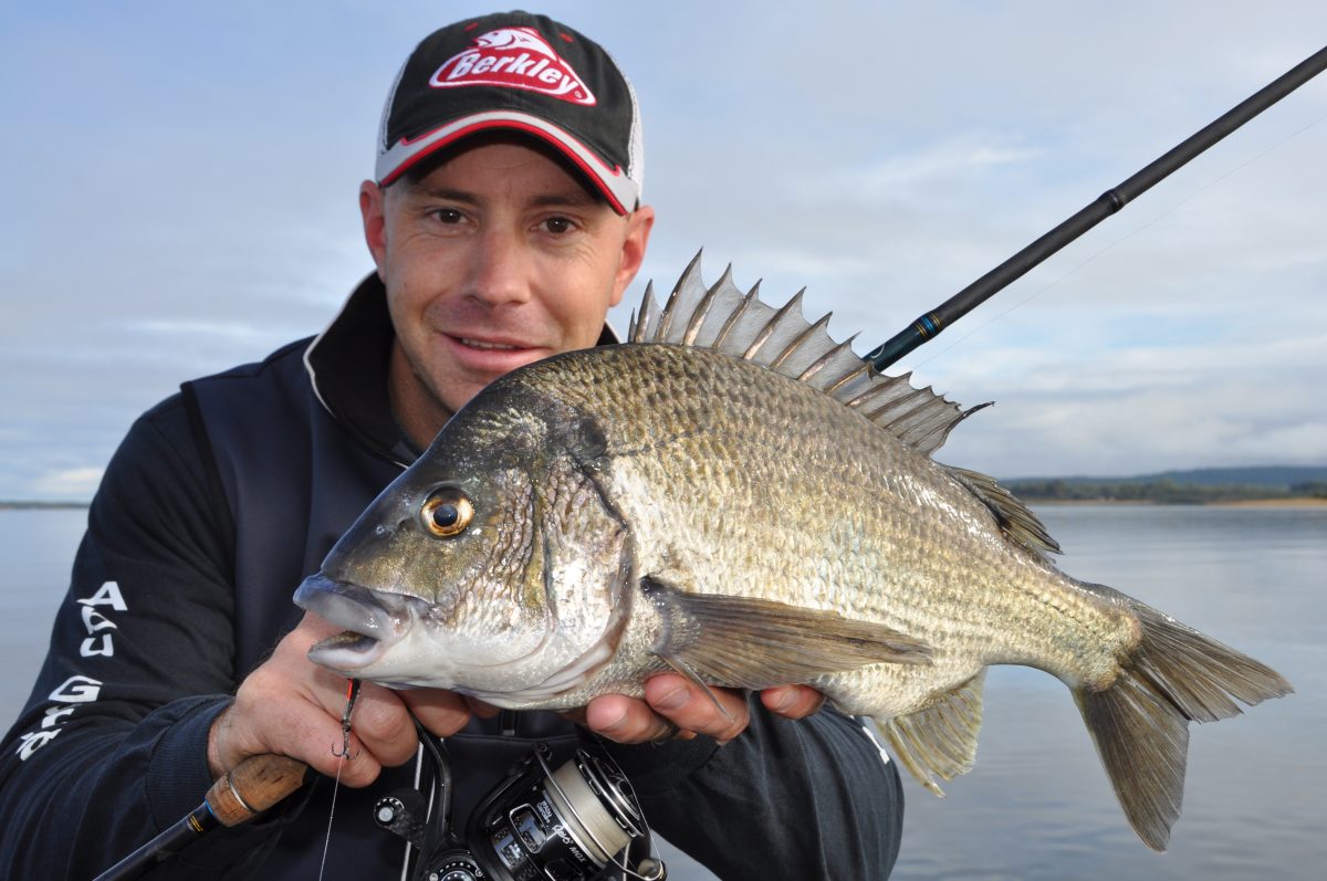 Tactics for black bream - Fishing World Australia