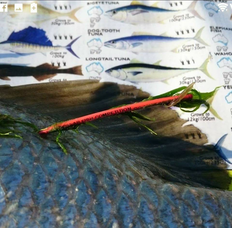 NT Million dollar fish comp on again! - Fishing World Australia
