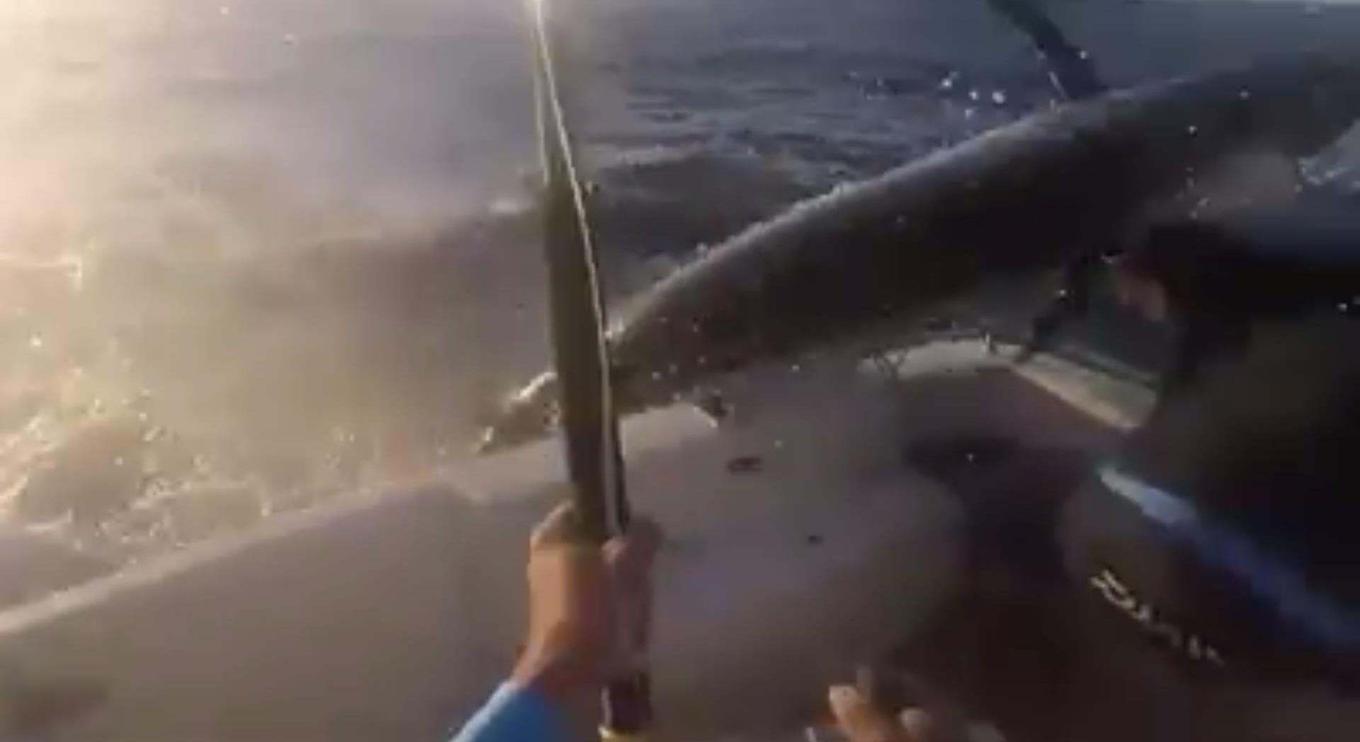 VIDEO: Close call for marlin angler! - Fishing World Australia
