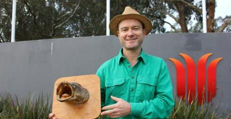 Information sought on mounted Murray cod - Fishing World Australia