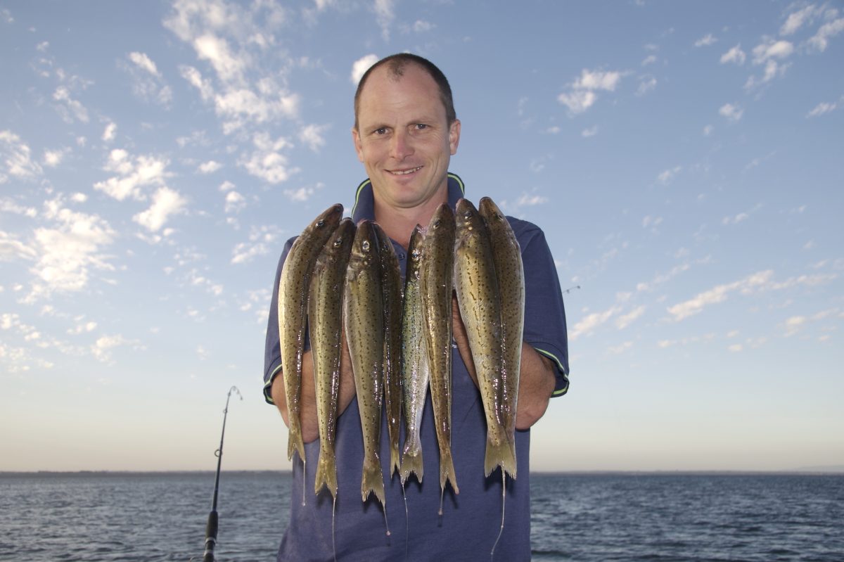 Whiting season is here – please look out for tags! - Fishing World ...