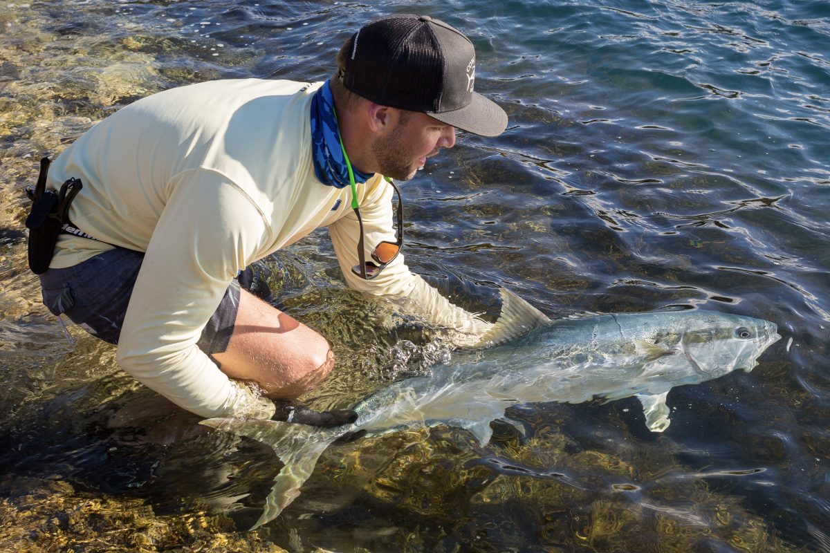 VIDEO: A day on Sydney Harbour with Gerber - Fishing World Australia