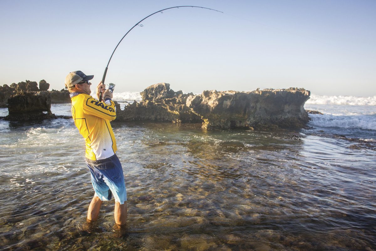 How to buy the right rod - Fishing World Australia