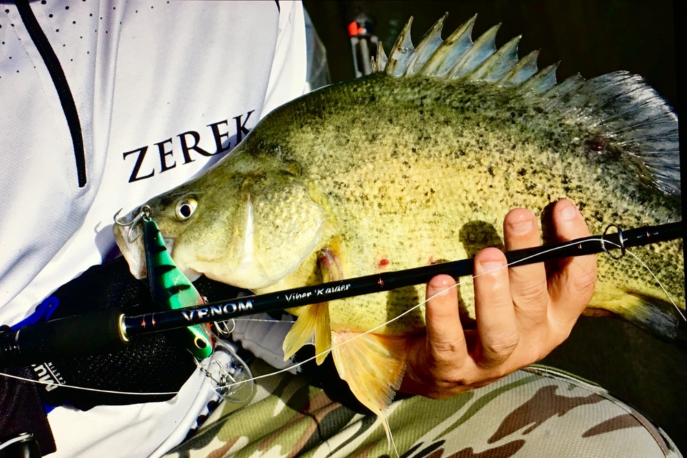 Mustad Landing, Casting and Sun Gloves - Fishing World Australia