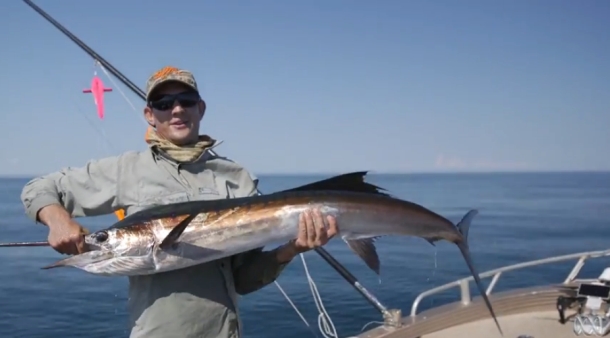 Sixty-five sailfish releases in a day! - Fishing World Australia