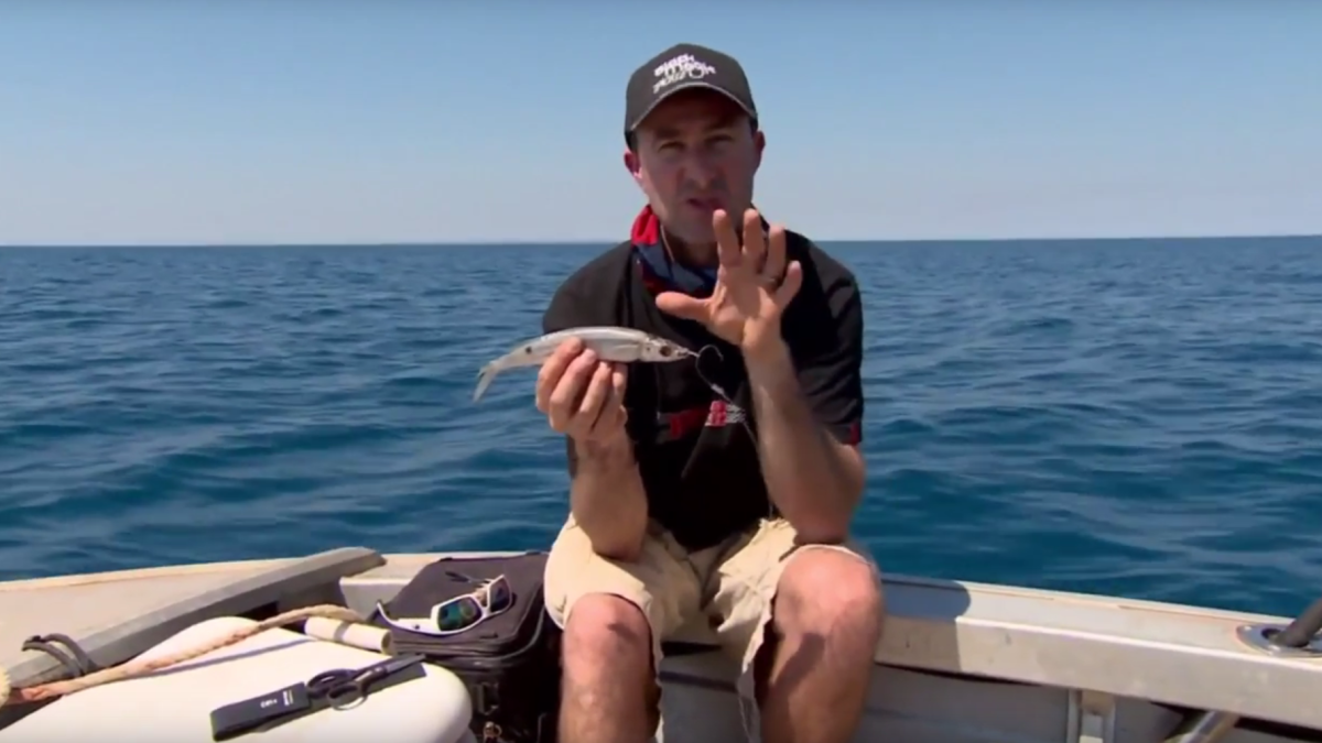VIDEO: How to prepare small skip baits - Fishing World Australia
