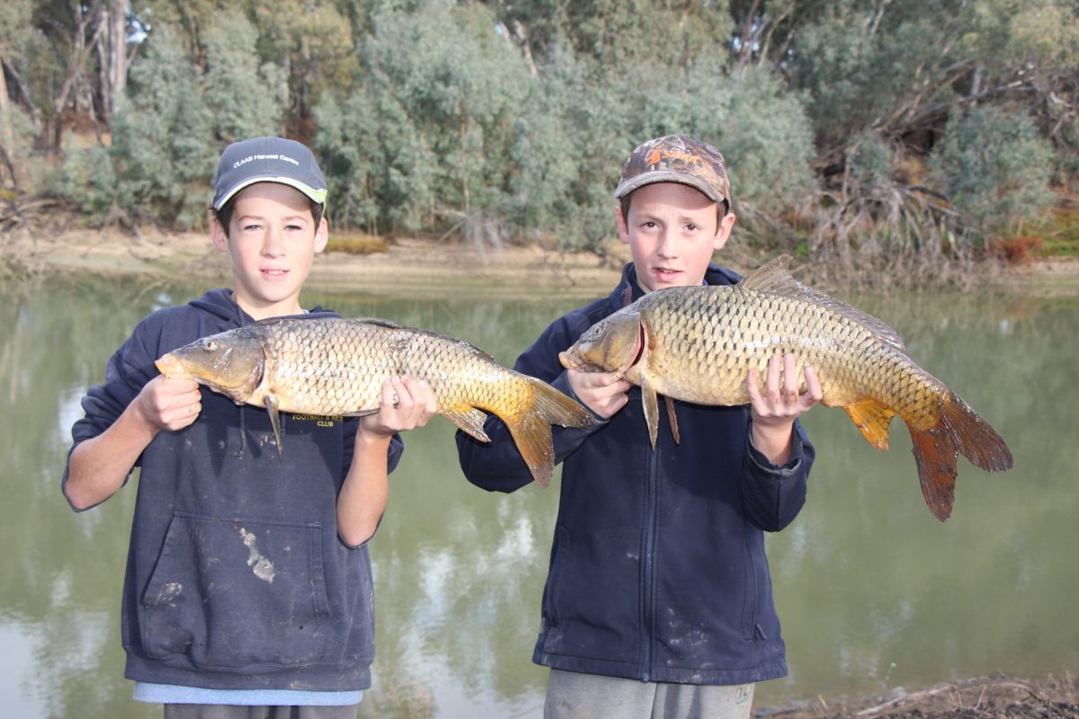 Carp Control Manager Matt Barwick departs - Fishing World Australia