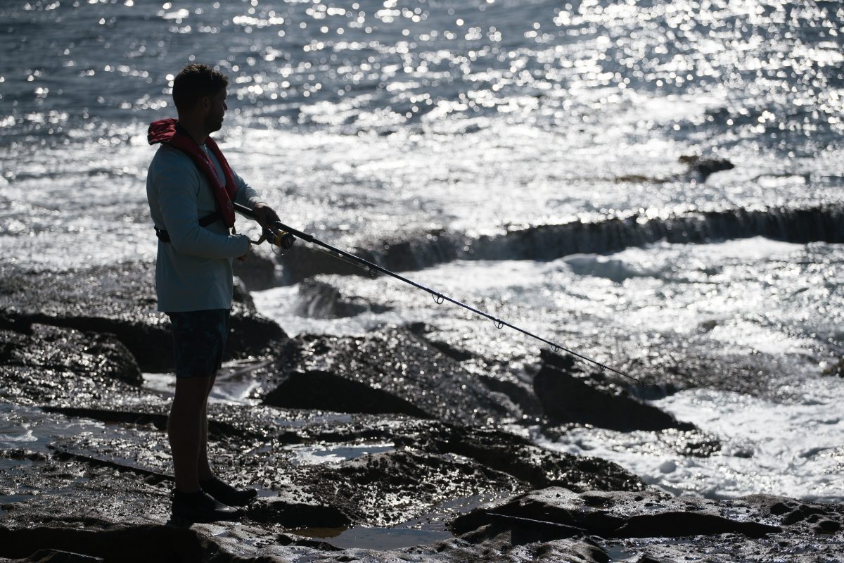 NSW recreational peak body update - Fishing World Australia