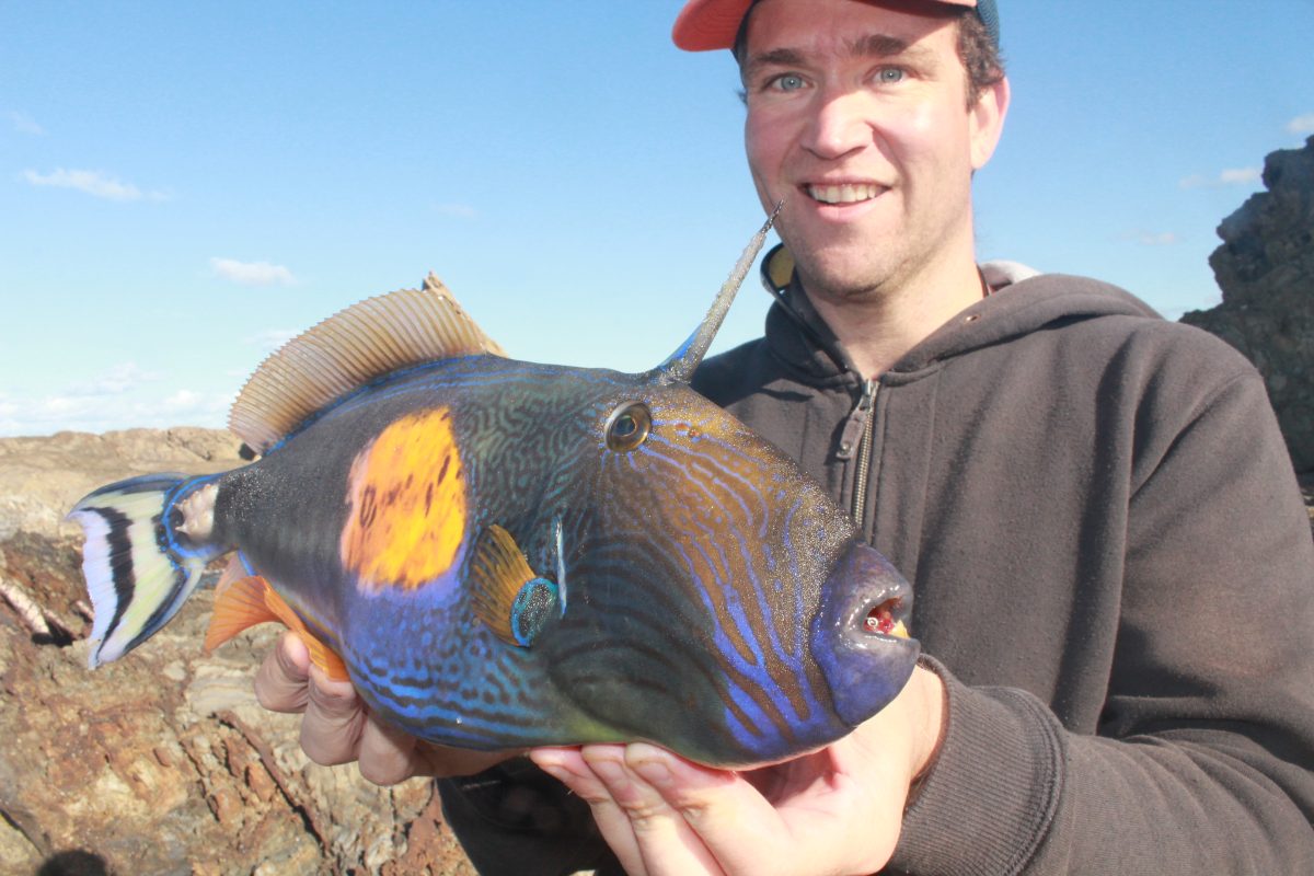 Game of stones: How to catch fish from the rocks - Fishing World Australia