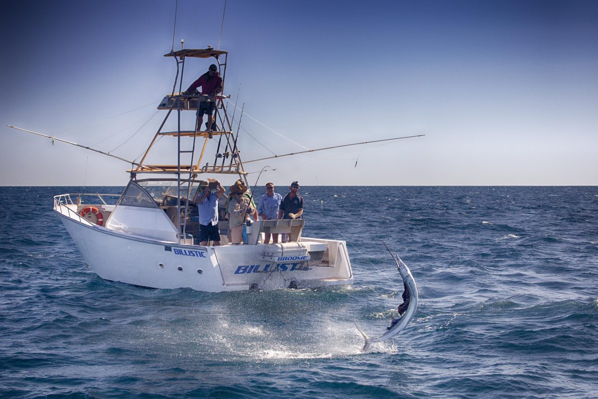 Bucket list Broome sailfish - Fishing World Australia