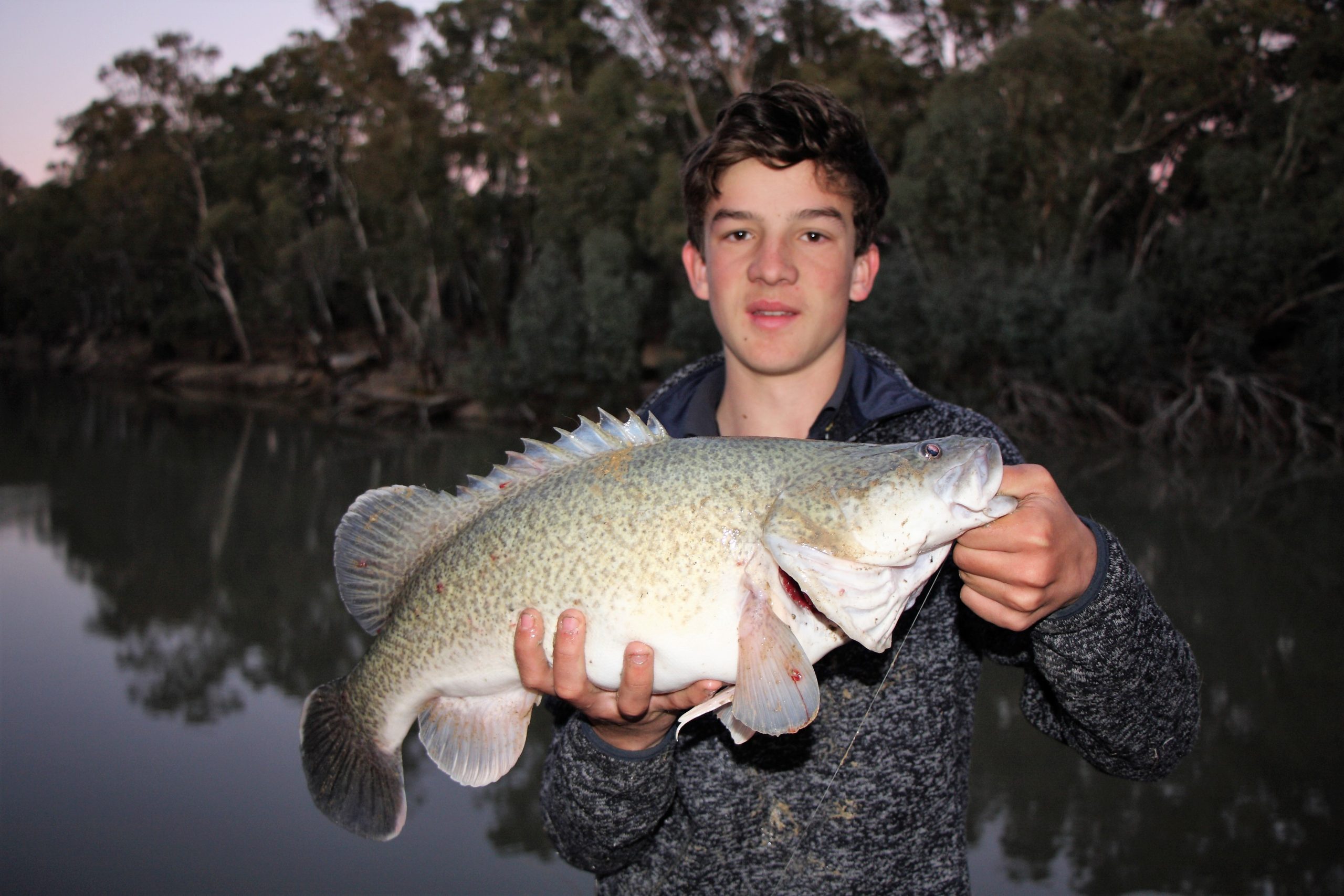 SURVEY: Have your say on Murray cod management - Fishing World Australia