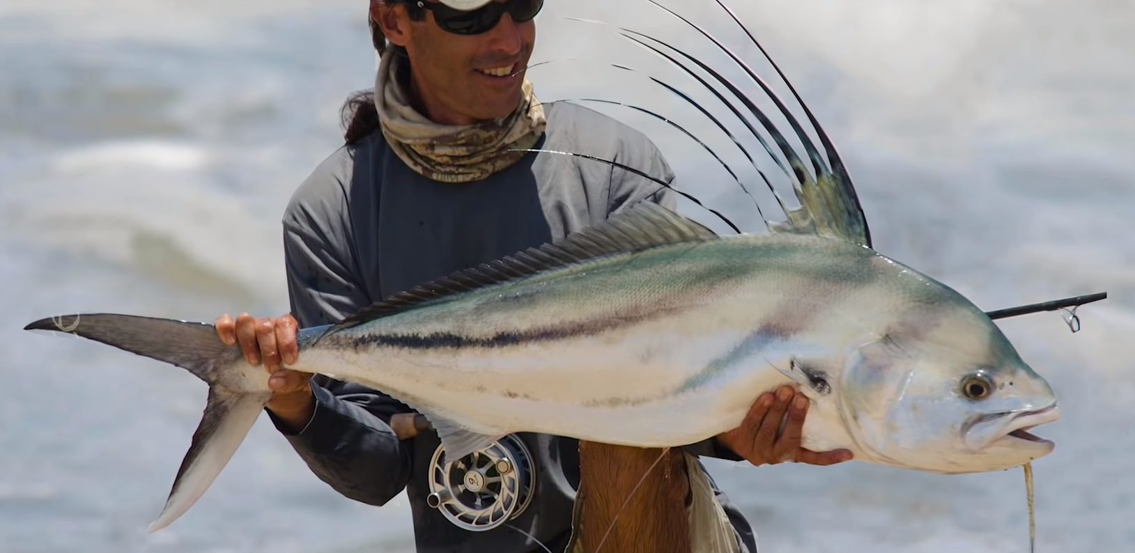 Fly Fishing For Roosterfish at Shanita Parker blog