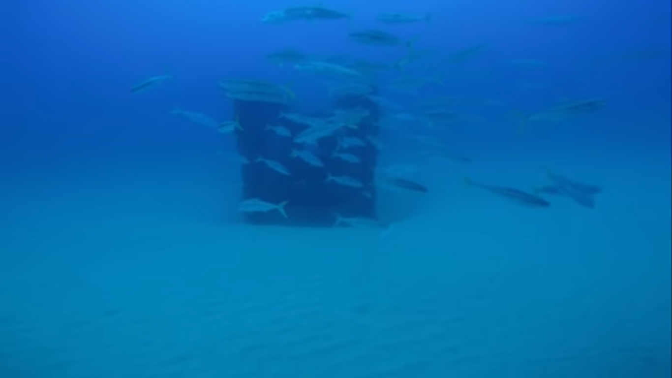 The Southern Sydney JD reef fires in autumn! - Fishing World Australia