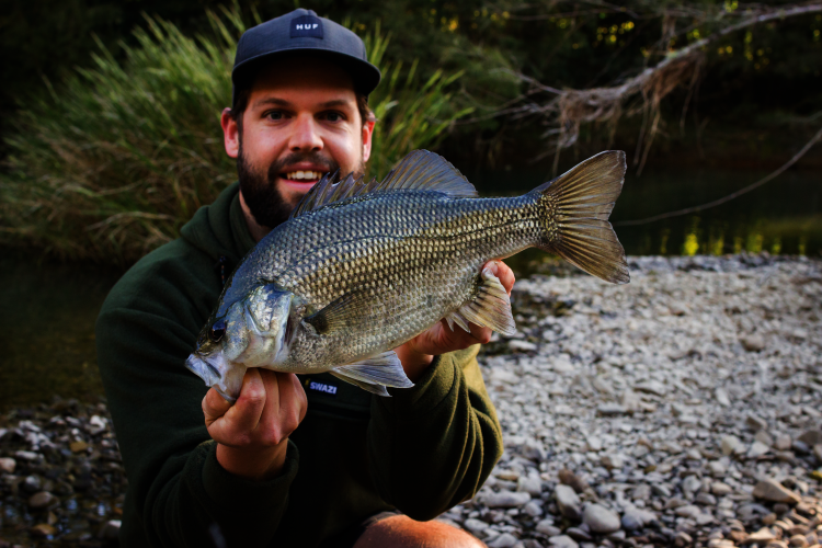 Bass season opens - Fishing World Australia