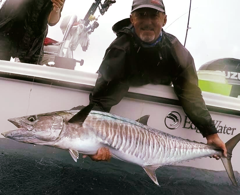 Multiple mackerel recaptures - Fishing World Australia