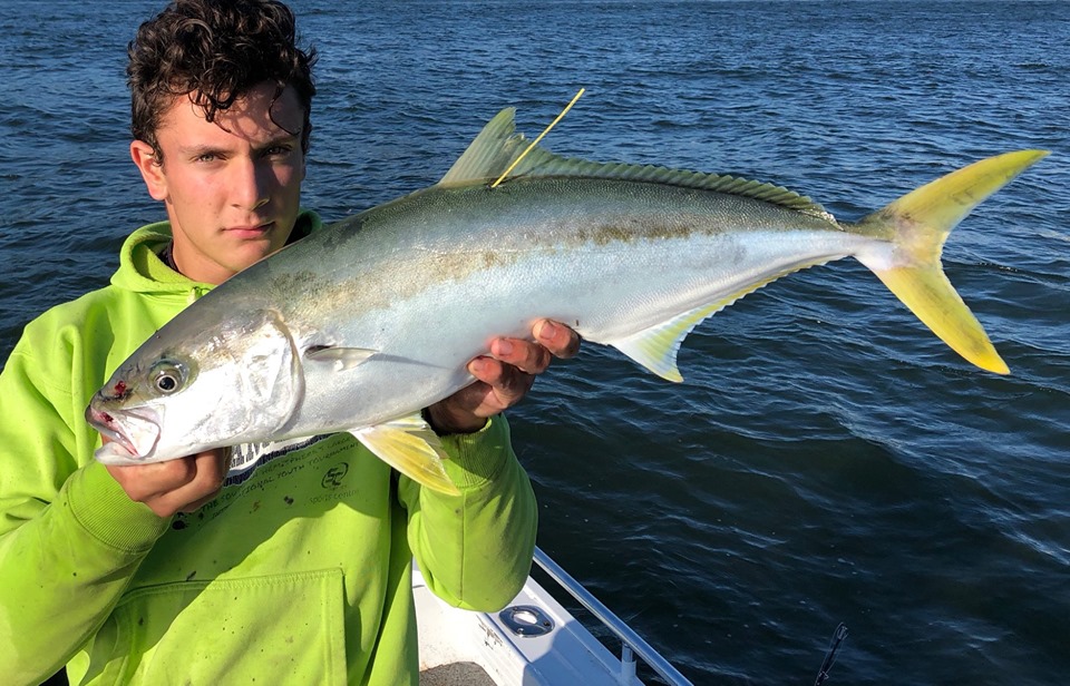Kingfish heads north - Fishing World Australia