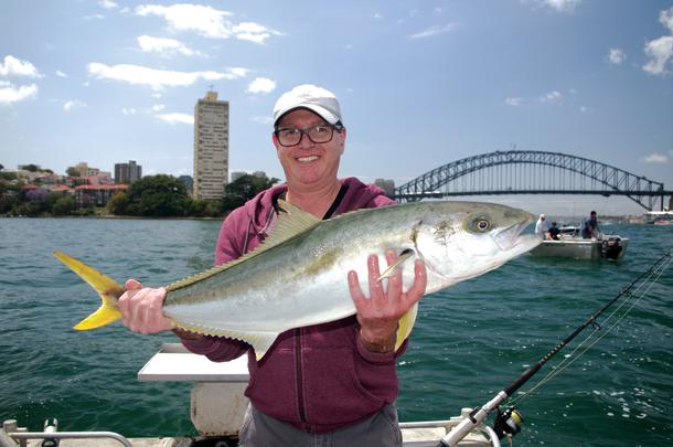 Return of the Sydney kingfish - Fishing World Australia