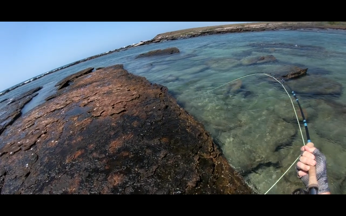 VIDEO: Fly fishing for big cod - Fishing World Australia