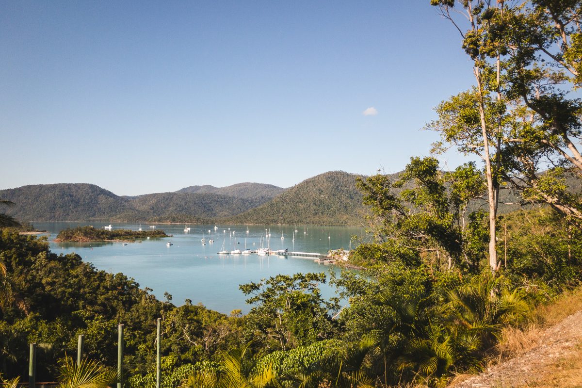 Whitsunday's Shute Harbour restoration - Fishing World Australia