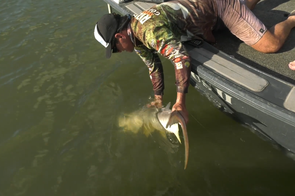 VIDEO: Barotrauma: Tips and advice - Fishing World Australia