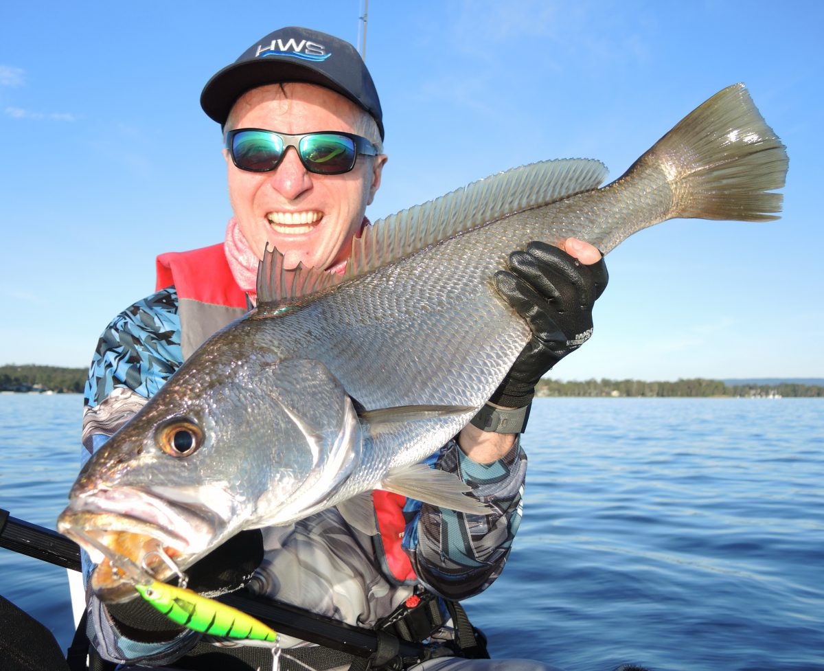 Samaki Redic hardbody review - Fishing World Australia
