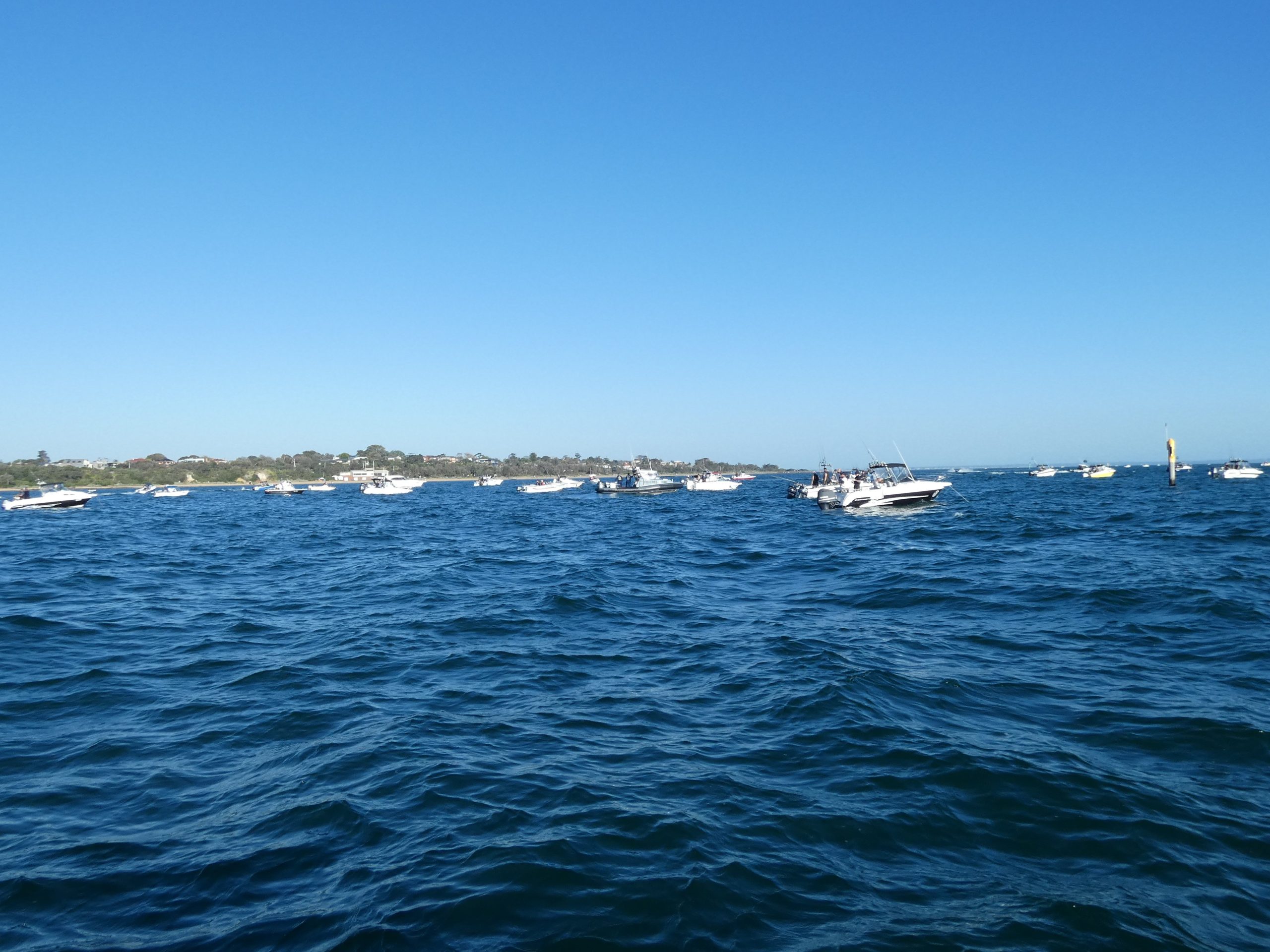 Port Phillip Bay fishers urged to do the right thing - Fishing World ...