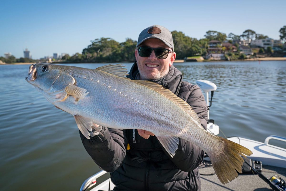 OPINION: Australia's best eating fish? - Fishing World Australia