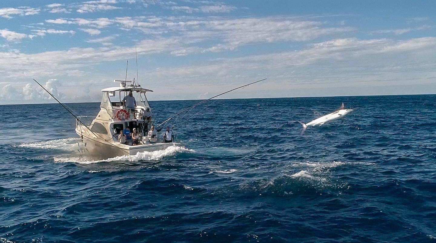 VIDEO: International billfish satellite tagging project - Fishing World ...