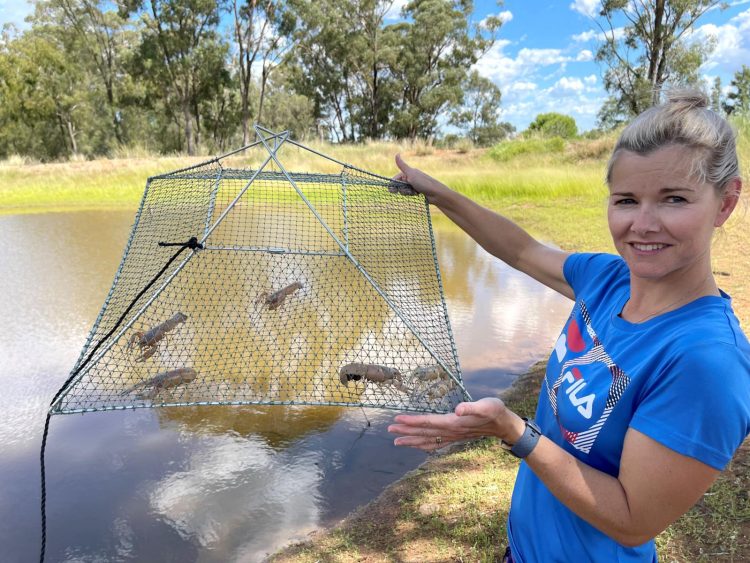 Best tricks and tricks for yabby fishing - Fishing World Australia