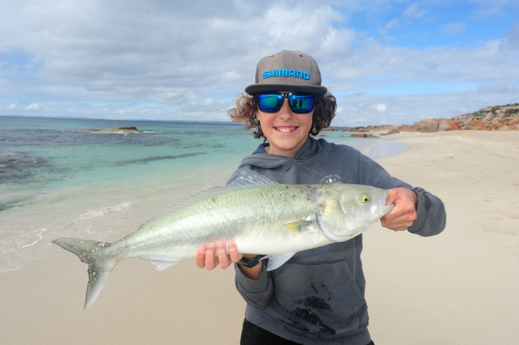 Australian salmon: The great Aussie sportfish - Fishing World Australia