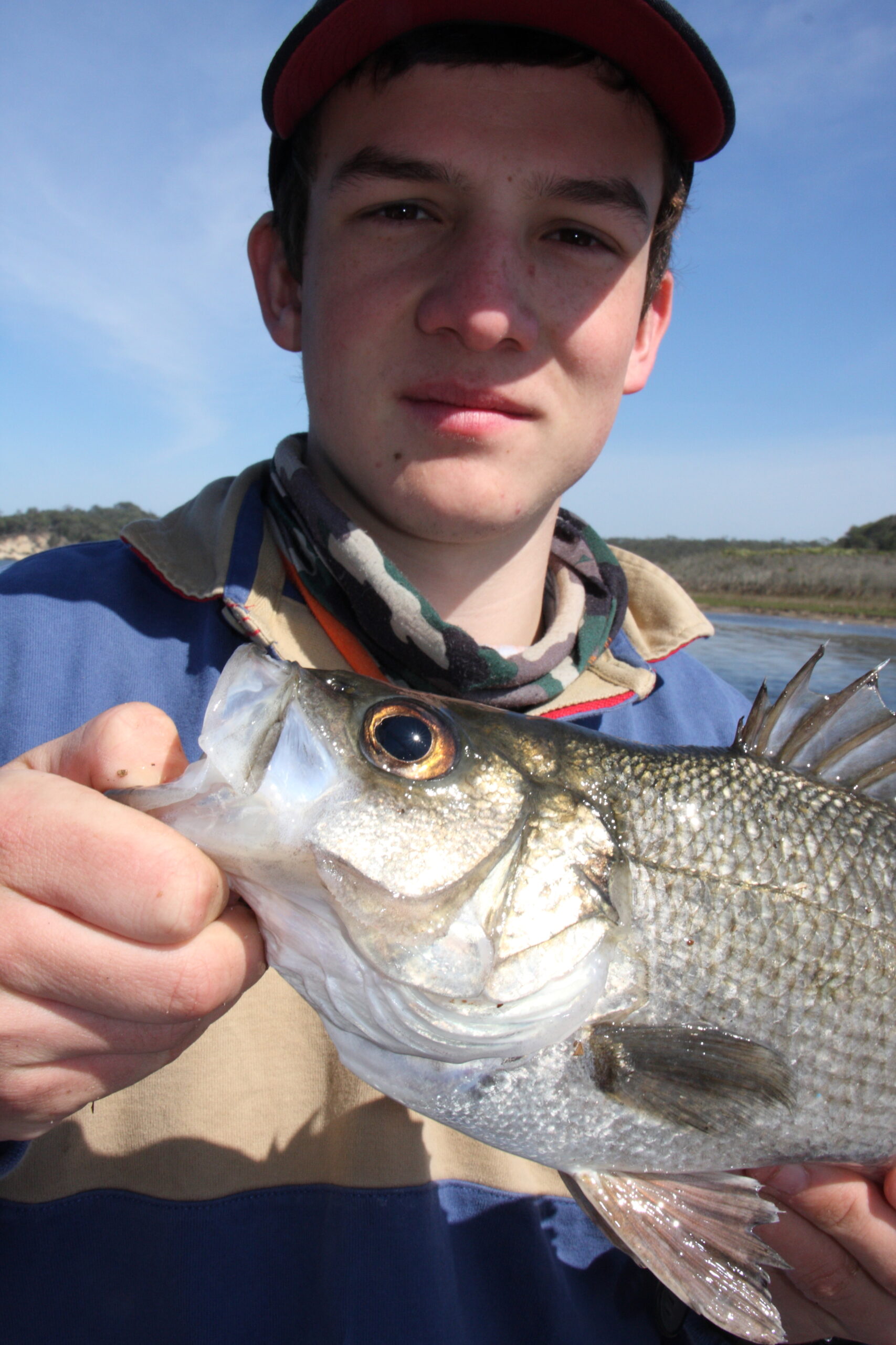 The search for perch - Fishing World Australia