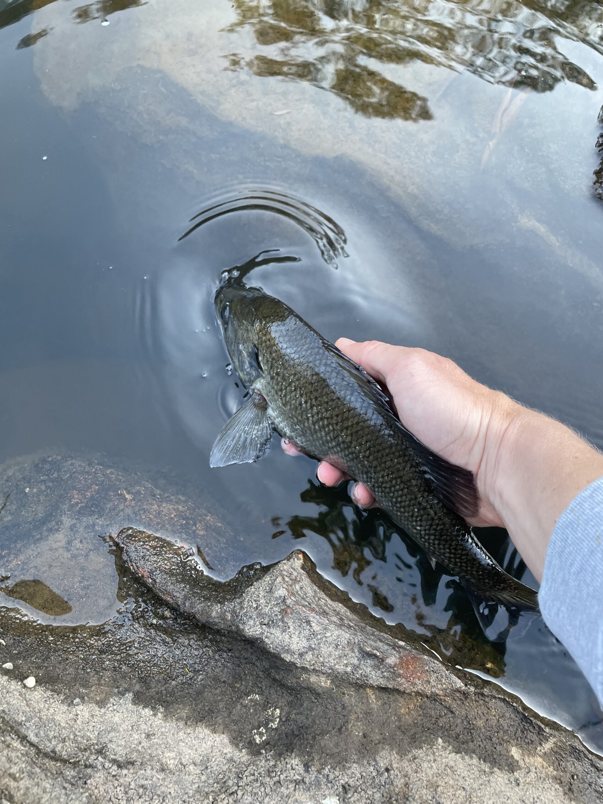 Inflatable Bassing - Fishing World Australia