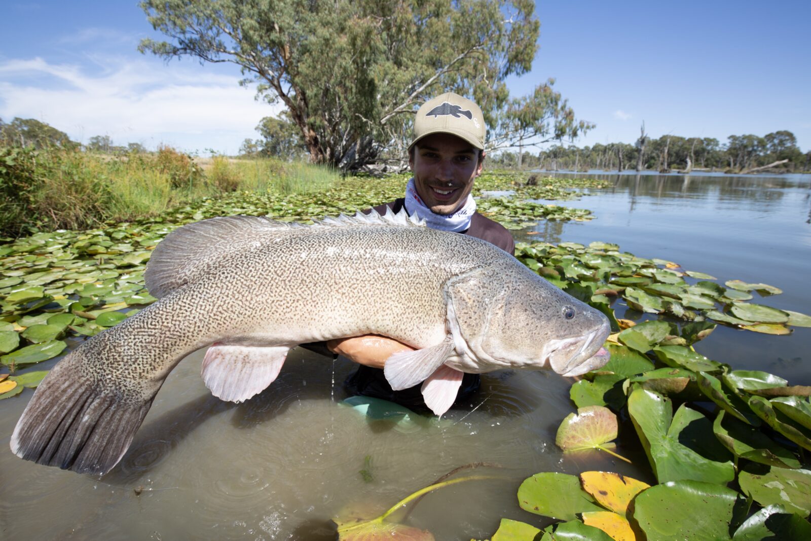Murray cod secrets revealed in Mildura OzFish event - Fishing World ...