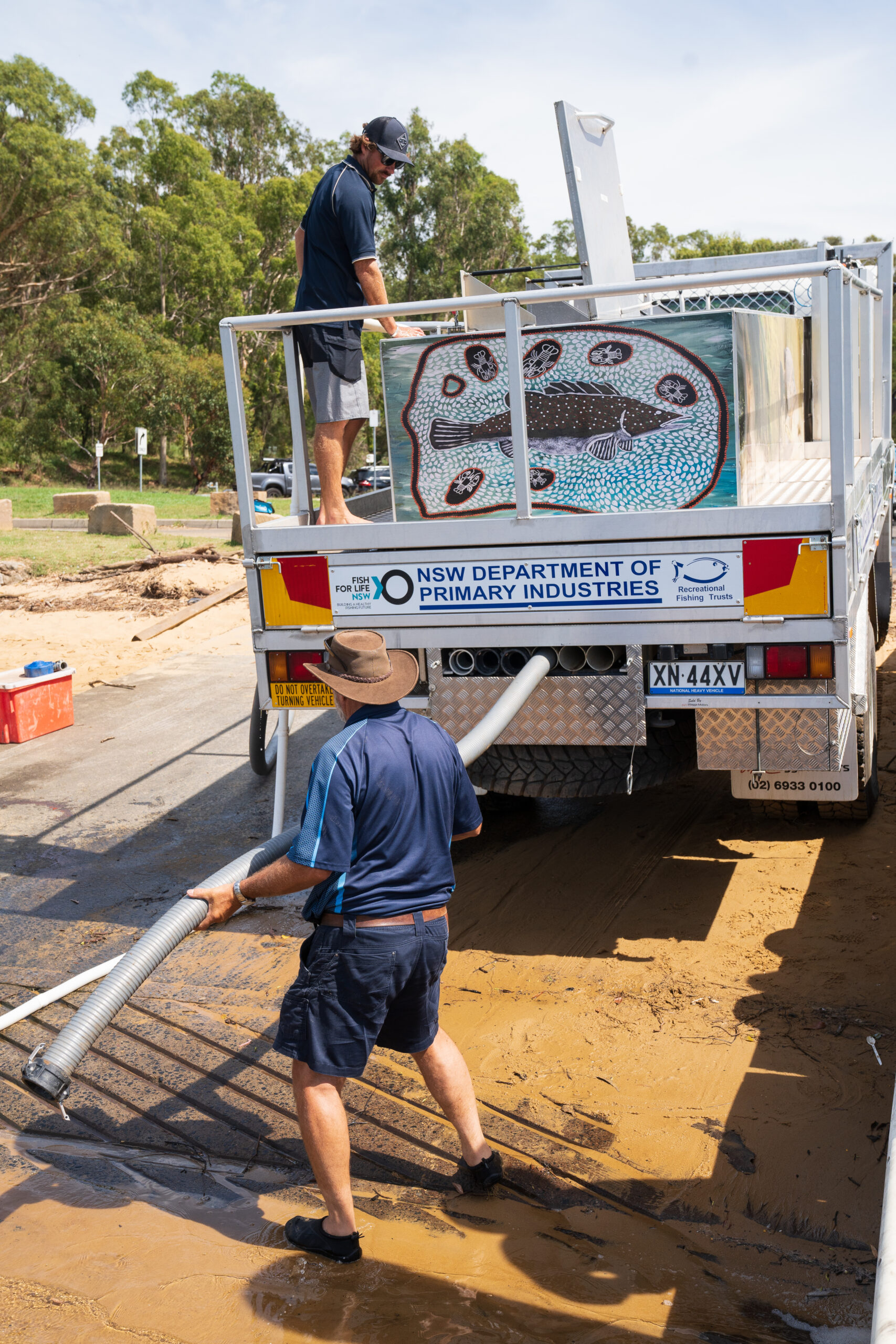 Mulloway released into Sydney's Georges River - Fishing World Australia
