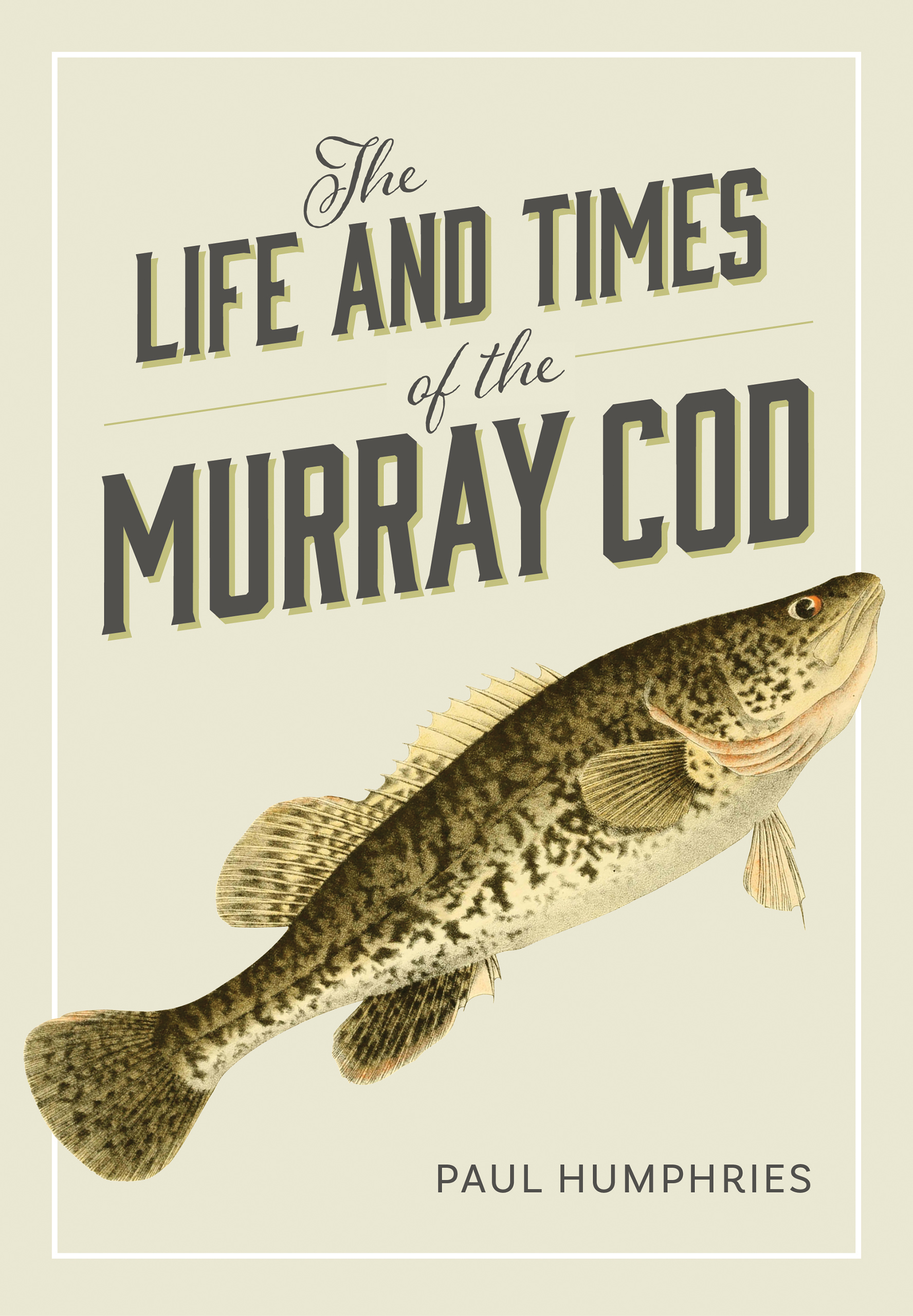The Life and Times of the Murray Cod - Fishing World Australia