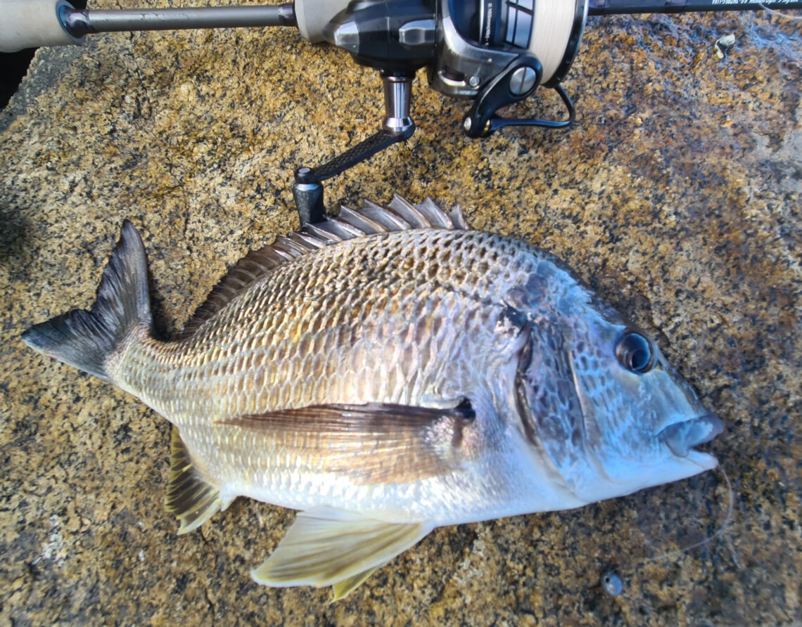 Fishing breakwalls - Fishing World Australia