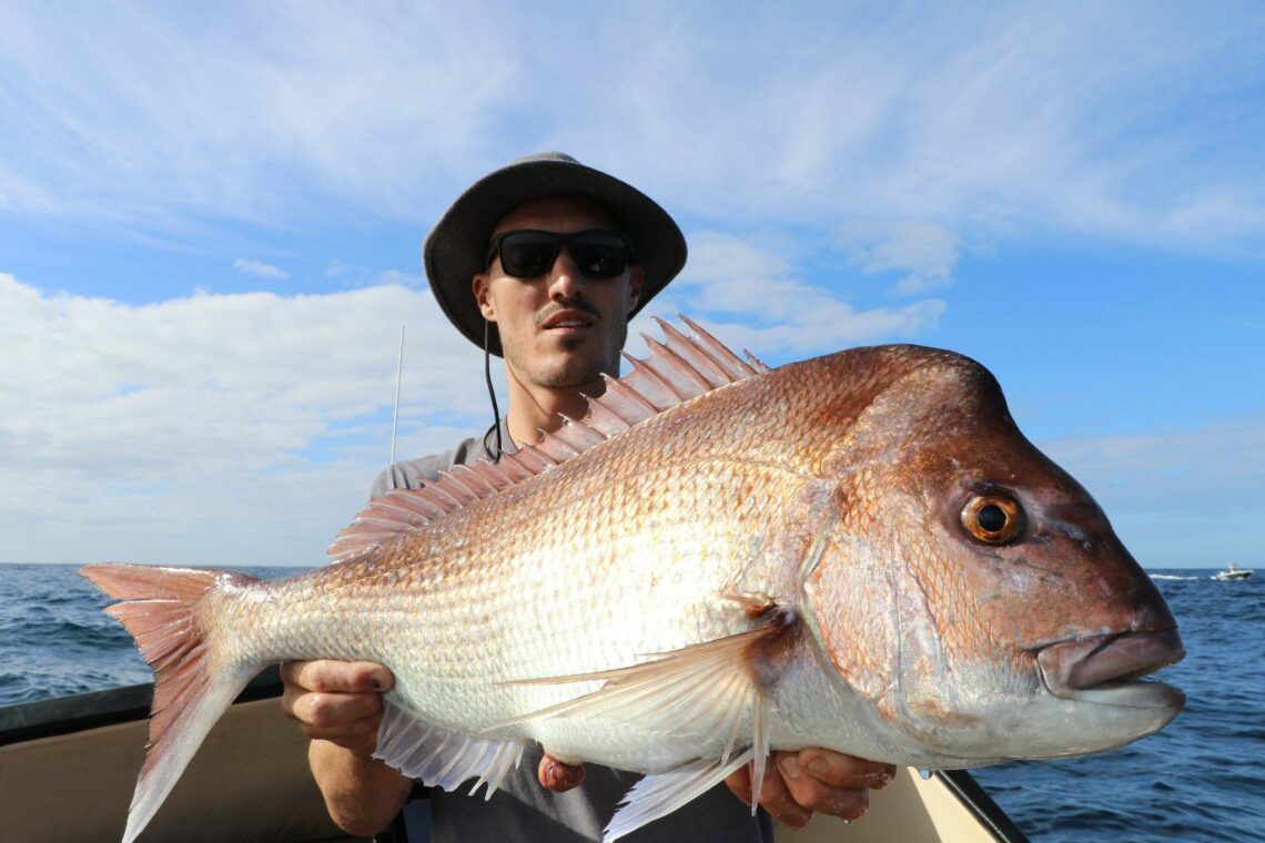 Snapper on plastics - Fishing World Australia