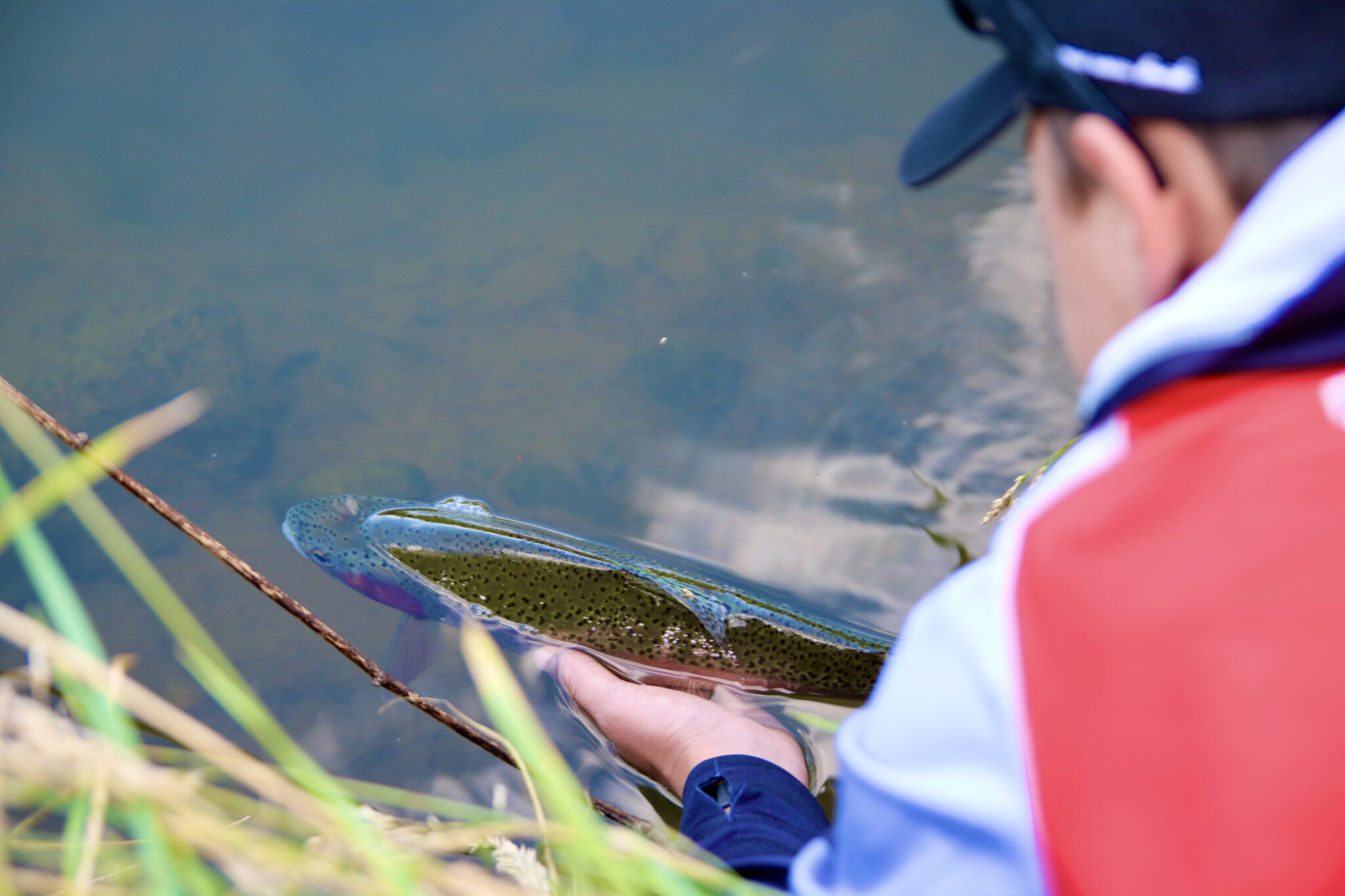 Trout basics - Fishing World Australia