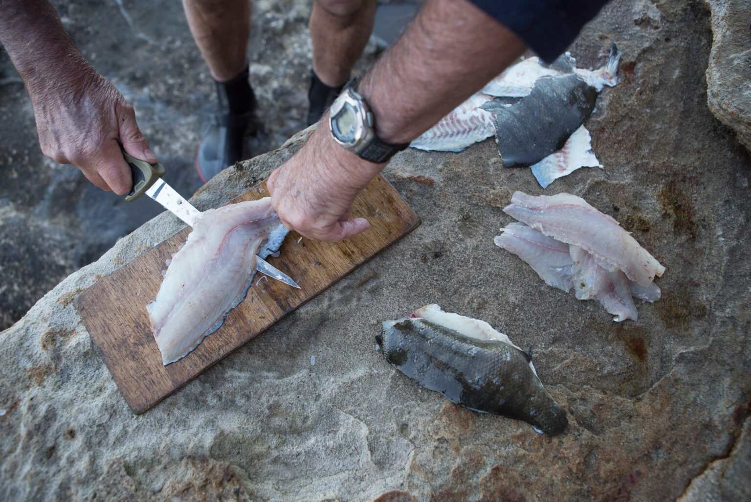 Fresh fish for the table - Fishing World Australia