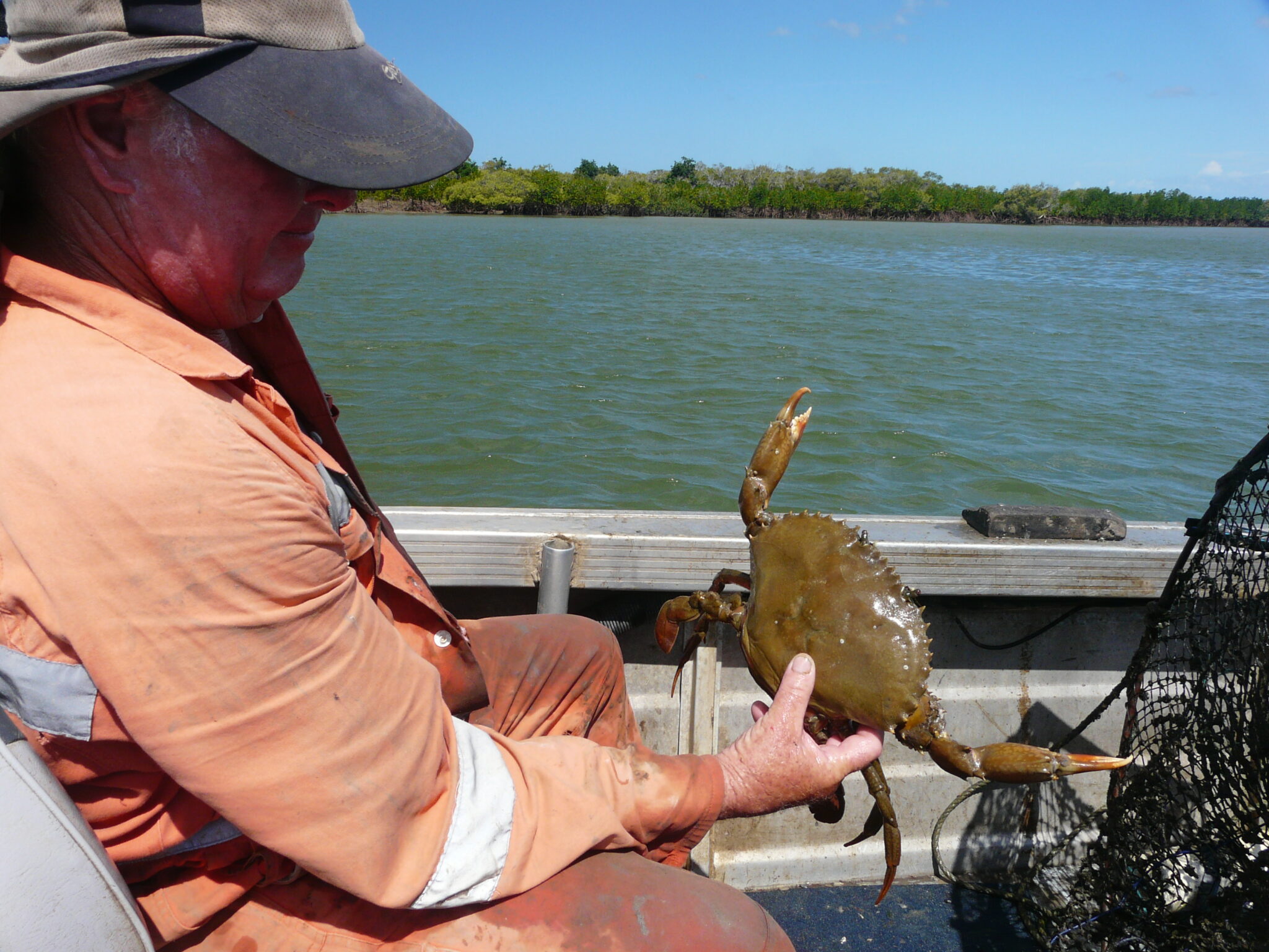 FISH FACTS: Mud crab migrations - Fishing World Australia