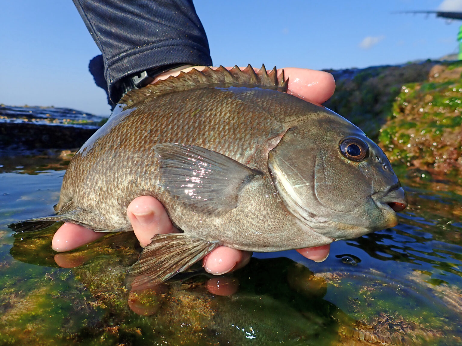 Fishing the wash - Fishing World Australia