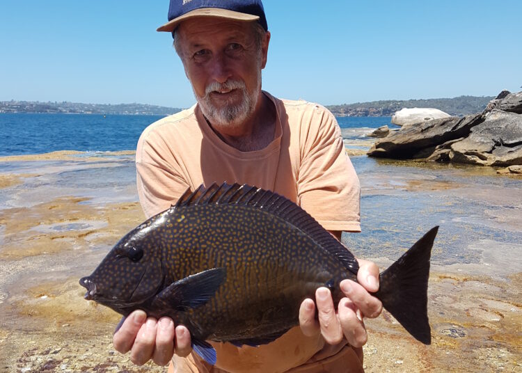Platypus lands world record barra - Fishing World Australia