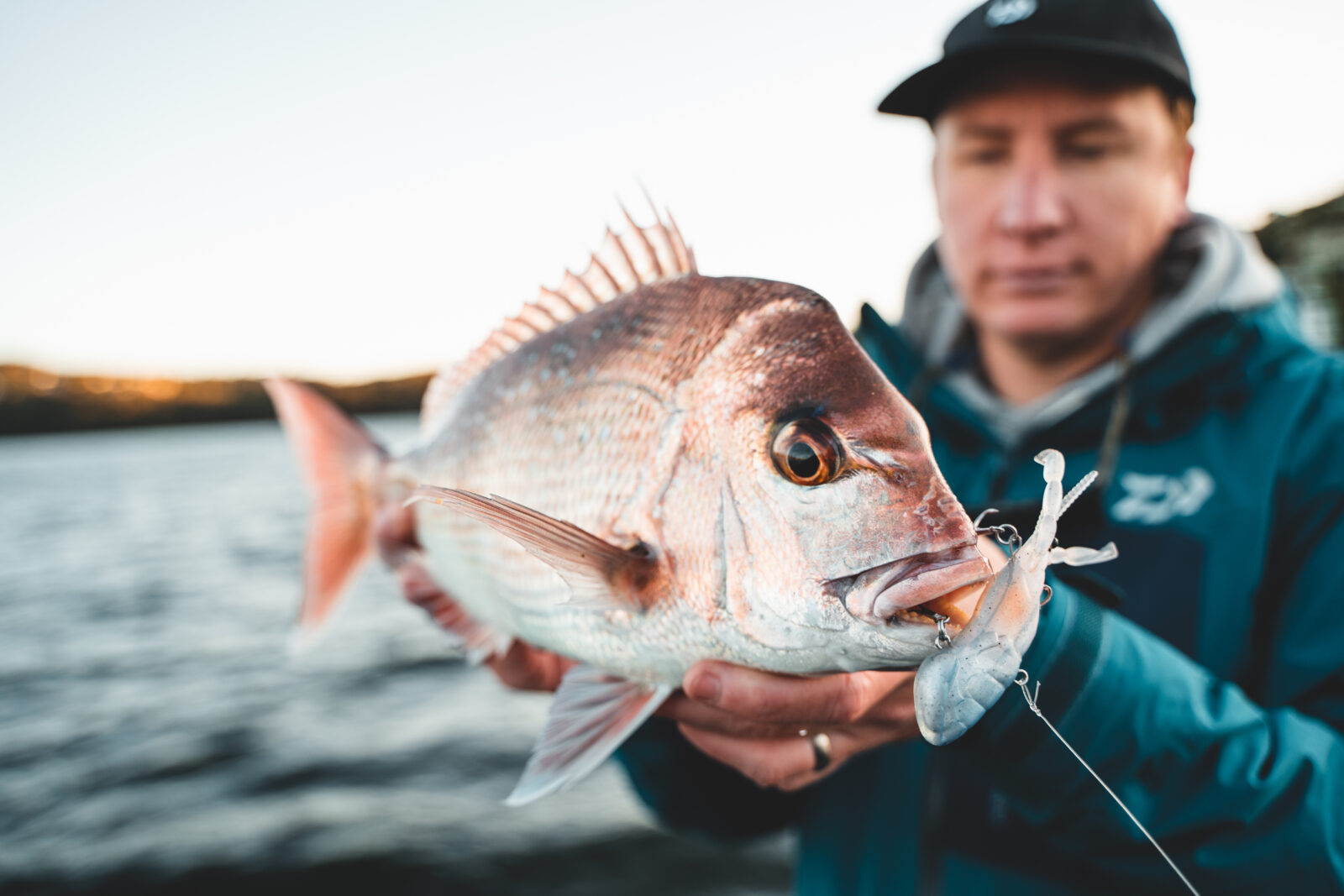 Daiwa Steez Soft Shell - Fishing World Australia