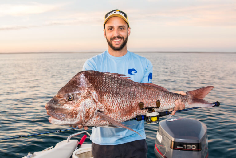 Snapper basics - Fishing World Australia
