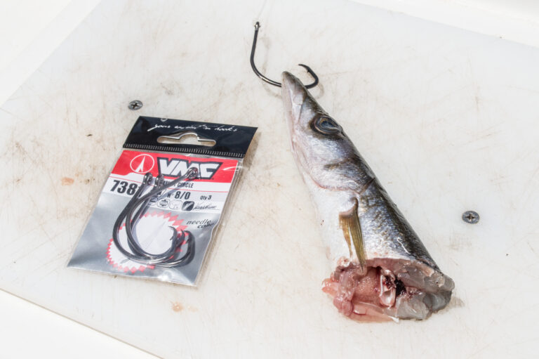 Snapper basics - Fishing World Australia