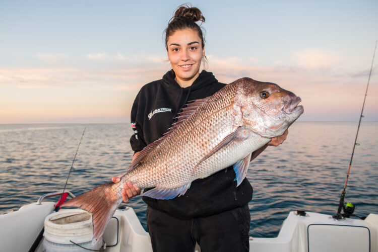Snapper basics - Fishing World Australia