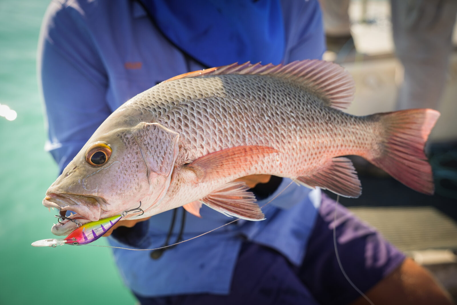 Understanding hardbody lures - Fishing World Australia
