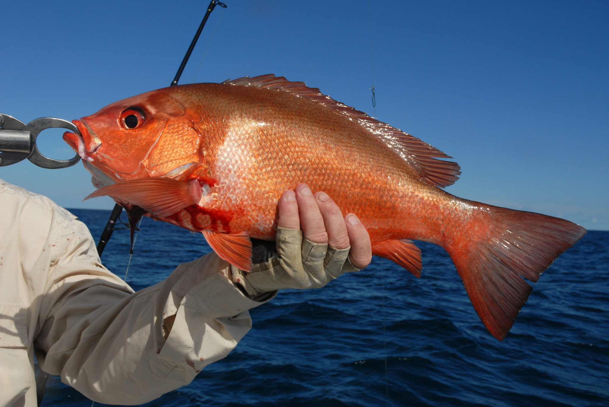 Fishing inshore reefs - Fishing World Australia