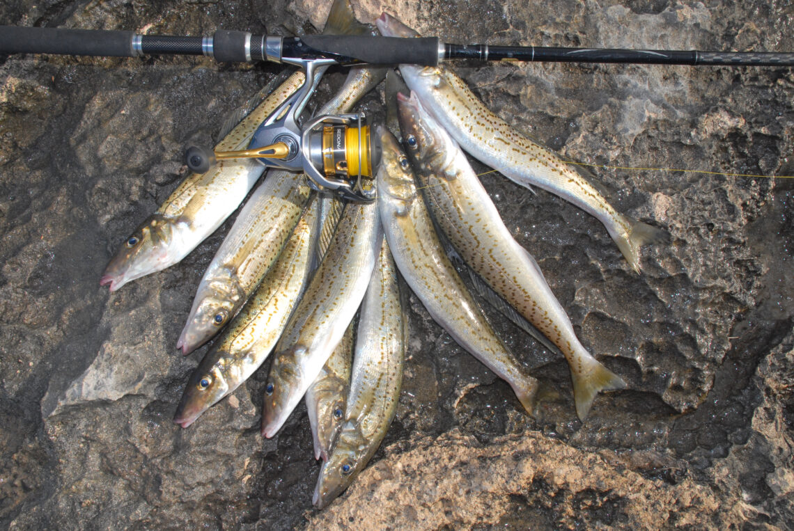 Coffin Bay Fishing - Fishing World Australia